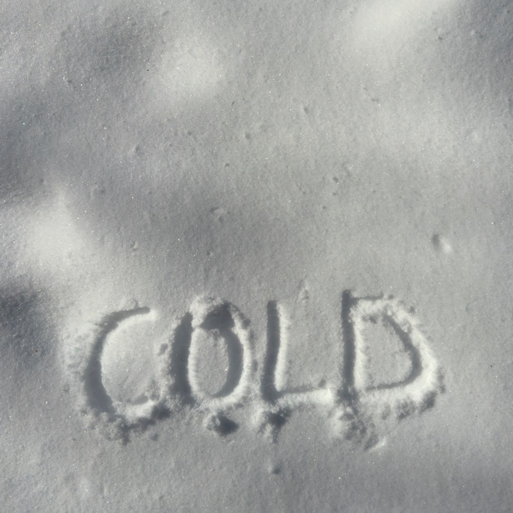 Rose Cousins - Cold: Single Review : At The Barrier